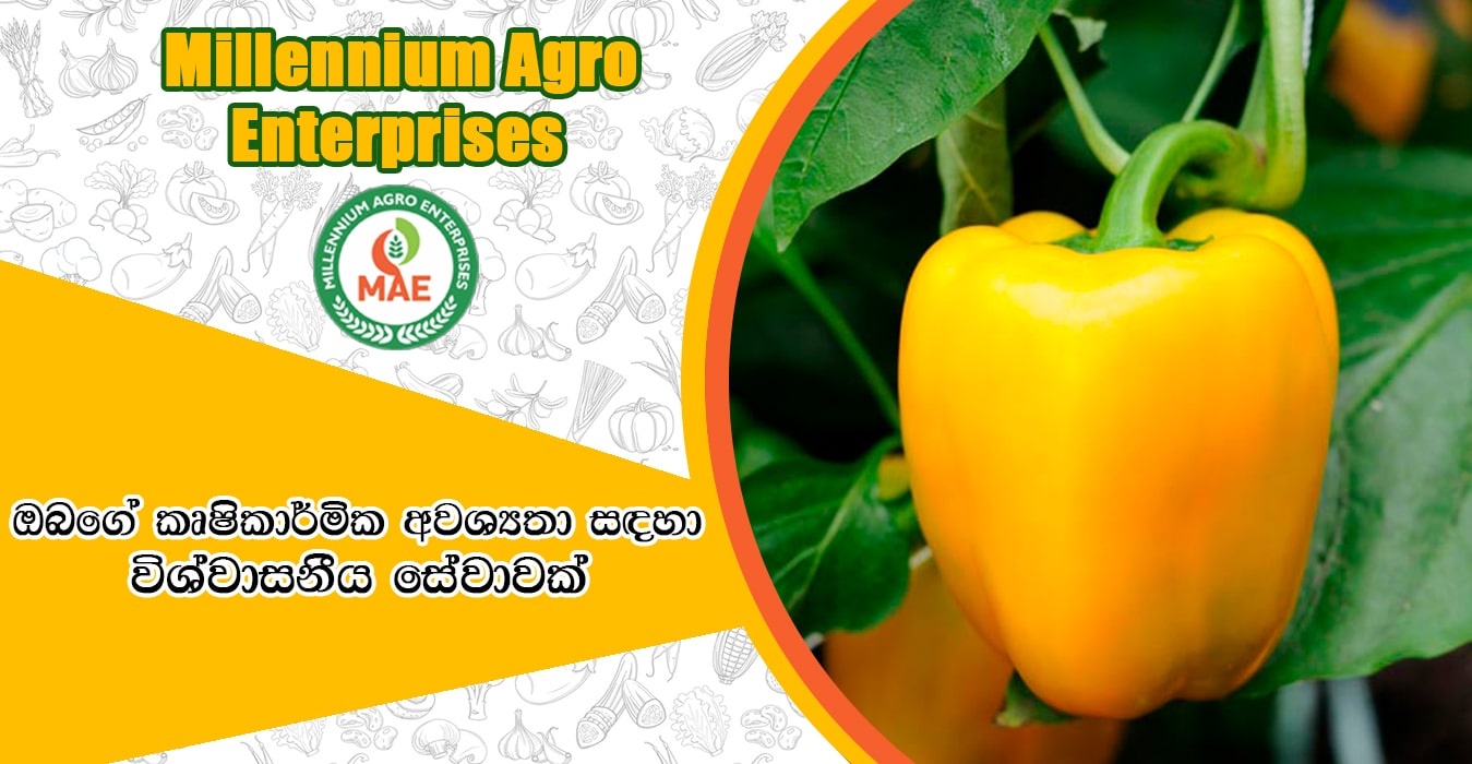 Millenniumagro | Agriculture Products in Sri Lanka – Buy Agriculture ...