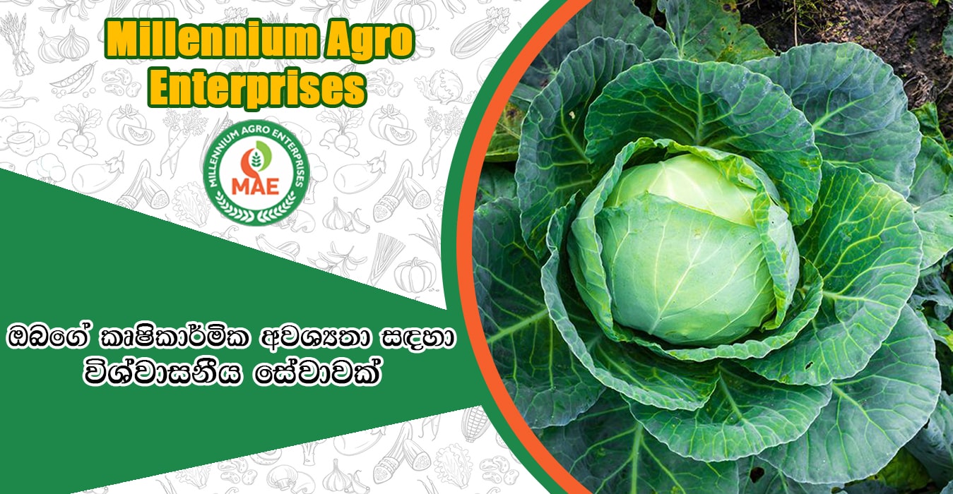 Millenniumagro | Agriculture Products in Sri Lanka – Buy Agriculture ...