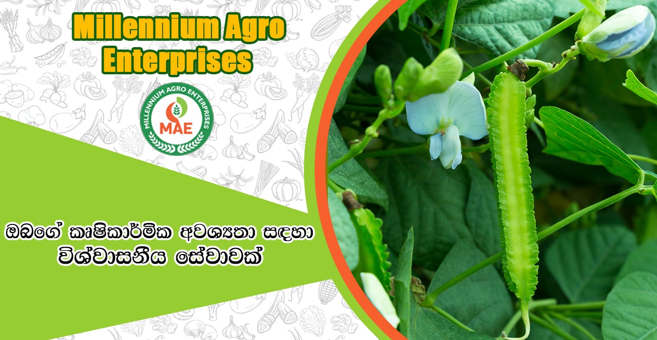 Millenniumagro | Agriculture Products in Sri Lanka – Buy Agriculture ...